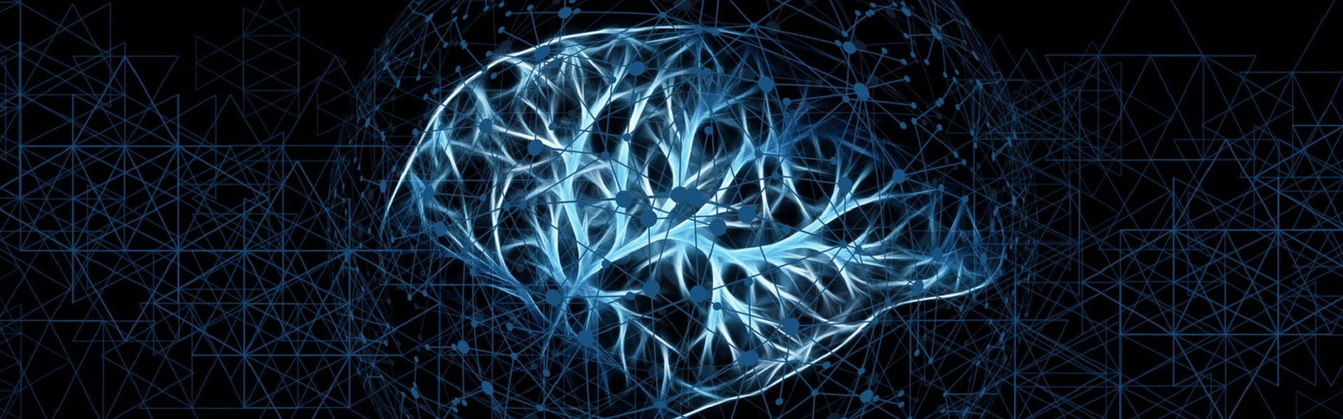 Sentience Institute | The Terminology of Artificial Sentience